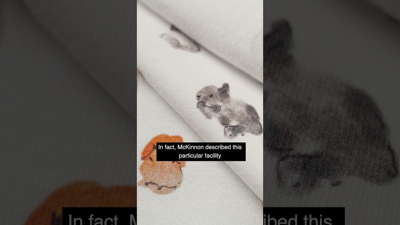 Left Bank Fabric Samples -  Creativity Is Not A Talent