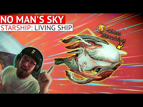 Rare Copper Living Ship in No Man's Sky