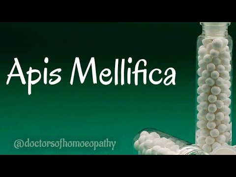 Apis Mellifica
