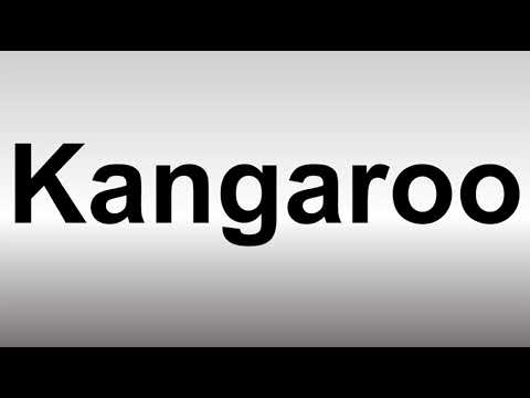 How to Pronounce Kangaroo