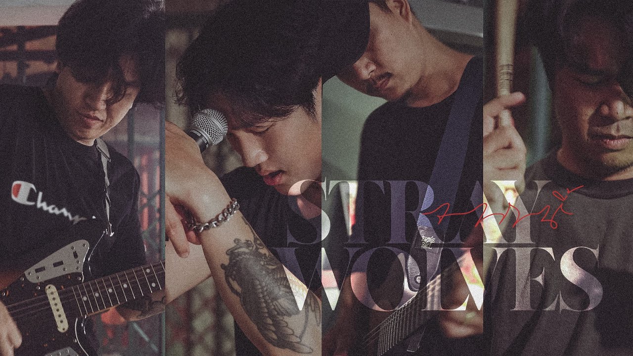 เนื้อเพลง เนื้อเพลง จากนี้ STRAY WOLVES - Life.in.th