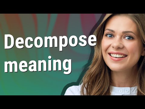 Decompose | meaning of Decompose