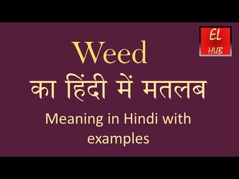 Weed meaning in Hindi