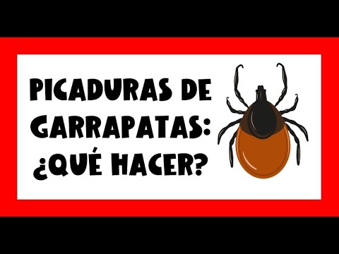 Picadura de GARRAPATAS en HUMANOS 👉 Hay solución ✅