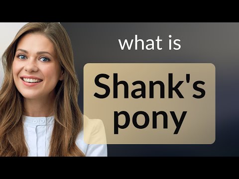 Shank's pony • what is SHANK'S PONY definition