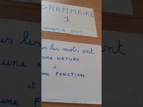 G1. Grammaire: le concept de MOT