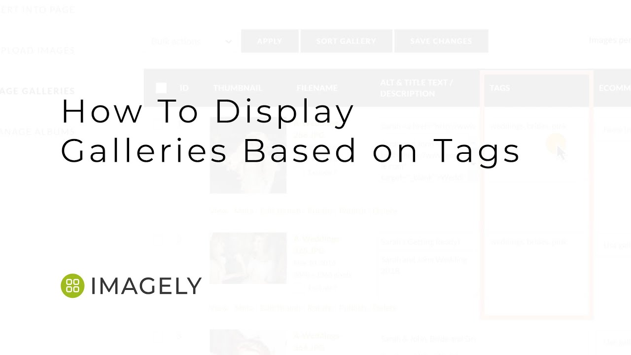 How To Display Galleries Based on Tags