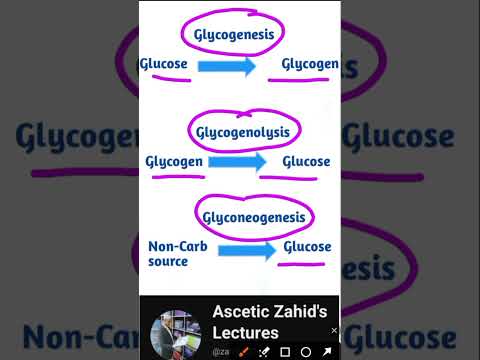 Important terms related to metabolism of carbohydrates #biologylecture #mdcatbiology #carbohydrates