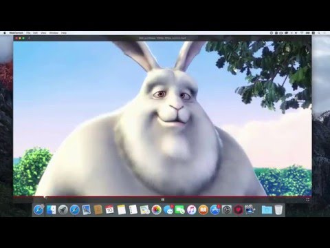 WebTorrent App