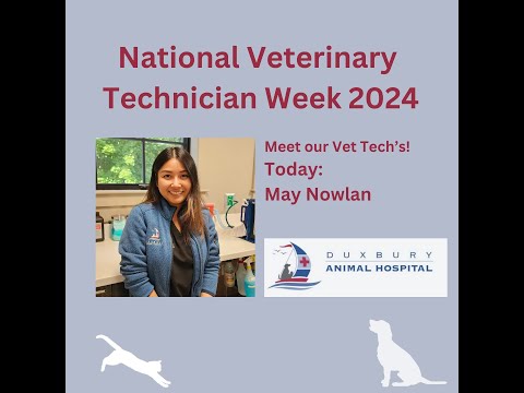 National Veterinary Technician Week 2024 - Meet May!