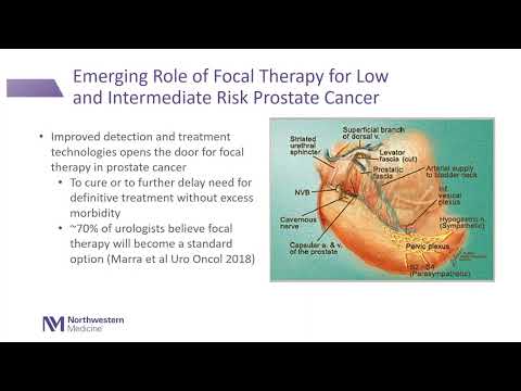Non-Radical Treatments for Prostate Cancer
