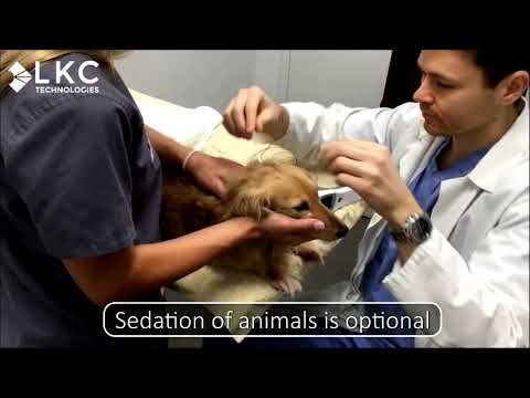 RETevetâ„¢ for Veterinary Ophthalmology