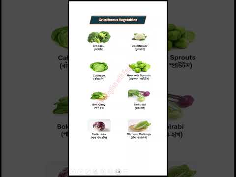 Cruciferous Vegetables 🥦🥬💚 | Learn English With Ease