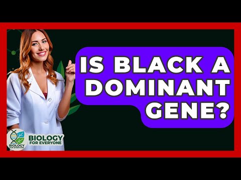 Is Black A Dominant Gene? - Biology For Everyone