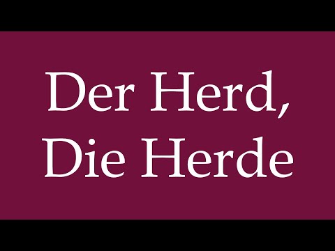 How to Pronounce ''Der Herd, Die Herde'' (The Hearth, The Herd) Correctly in German