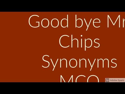 Mr Chips synonyms