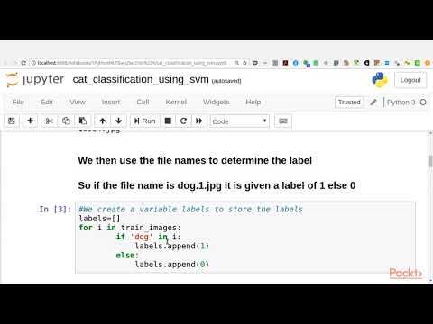 Learn Python Machine Learning in 7 Days Review Classifying Img Using Vector Machines|packtpub ...