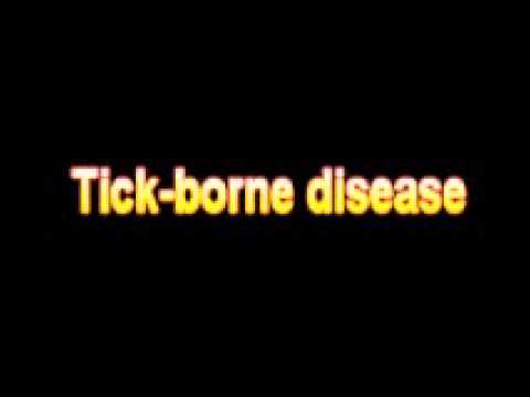 What Is The Definition Of Tick borne disease