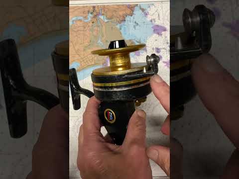 Penn 706z fishing reel of the day #reel #fishing #spinningreel