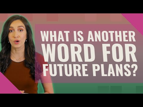 What is another word for future plans?