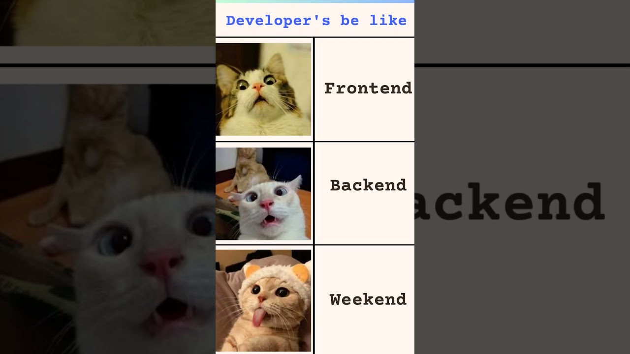 Programmer's Workweek🤟: Frontend, Backend, Weekend Meme. #programmerhumor #programmingmemes #memes