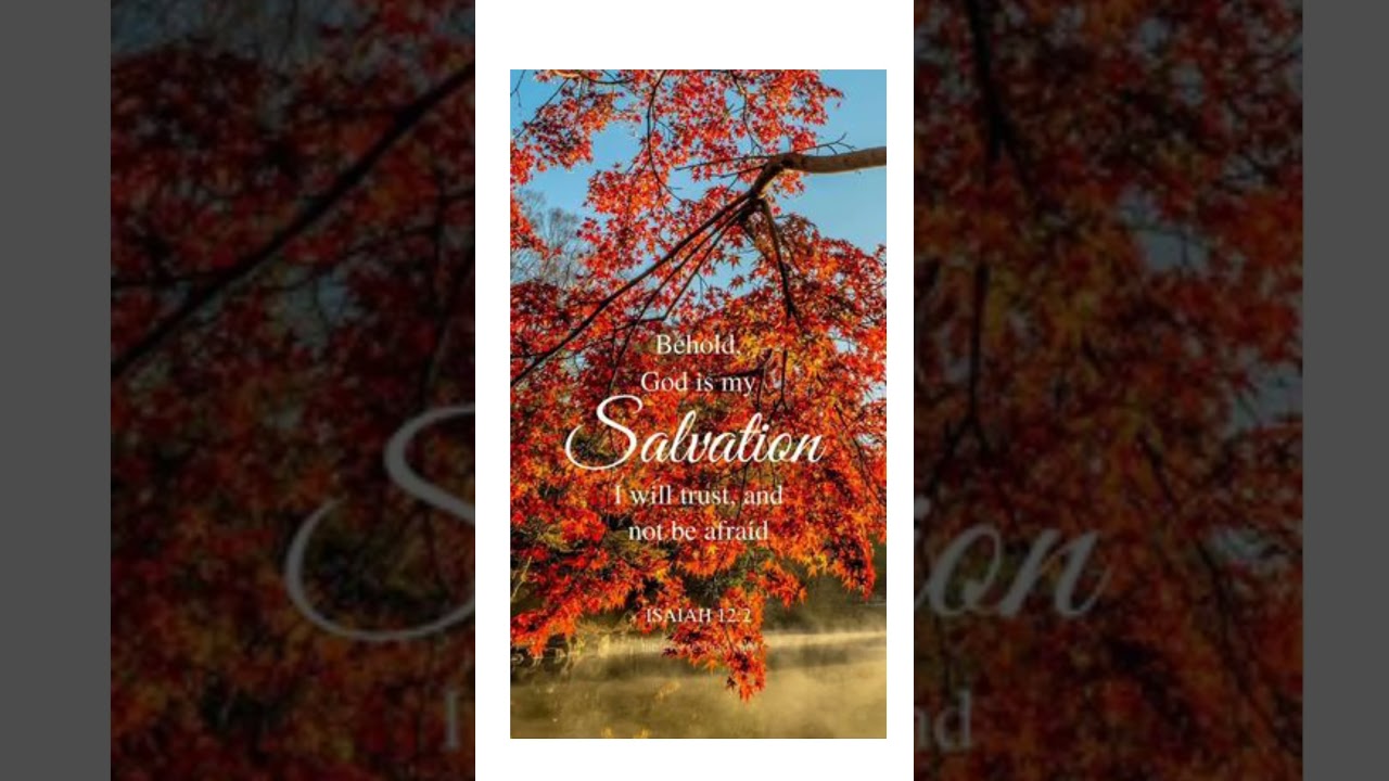 Bible quotes in image christianity #christianity  #biblequotes #Bibleverse