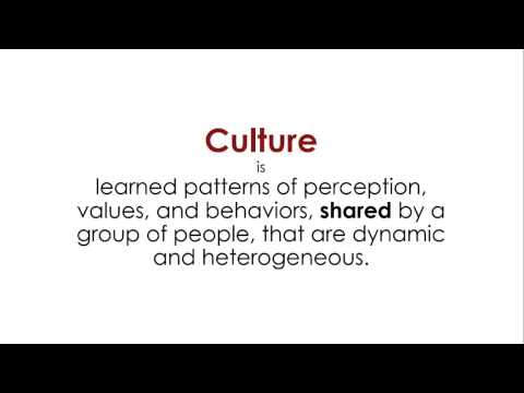 Definition of Culture