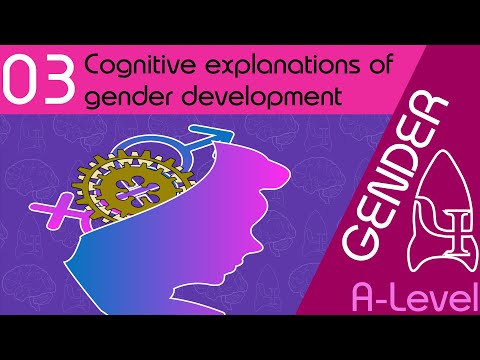 Cognitive explanations of gender development  - Gender [AQA ALevel Psychology]