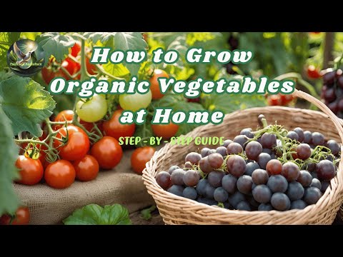 How to Grow Organic Vegetables at Home - Step by Step - Guide!