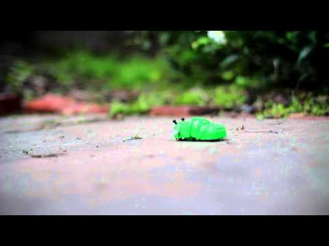 Caterpillove