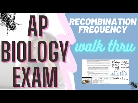 Recombination Frequency - AP Biology Exam Walk Thru