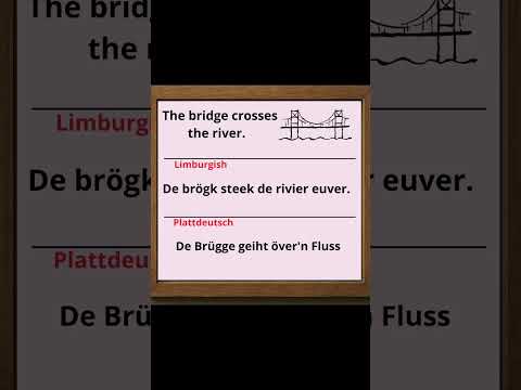 🔤 Limburgish vs Plattdeutsch: Cousins or Strangers? #Limburgish #Plattdeutsch 🎙️🇳🇱🇩🇪🇧🇪