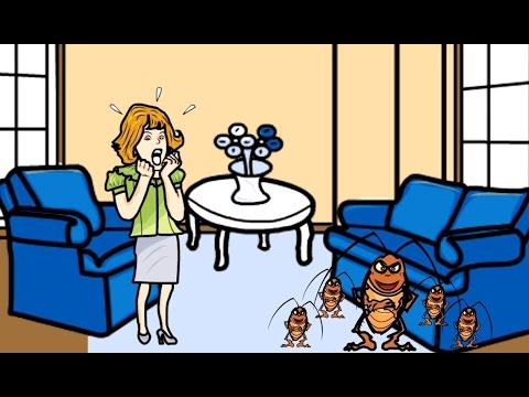 New Smyrna Beach Pest Control 24/7 Service | (386) 957-1023