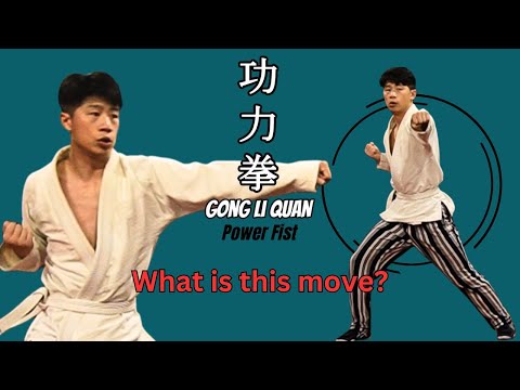 功力拳 Gong Li Quan:Is it a throw, grip-break or punch? 動作是摔,撕把或拳?