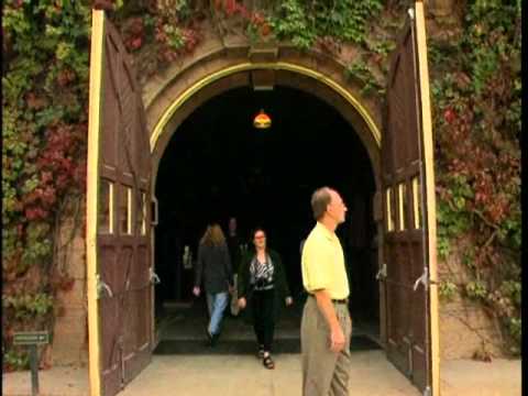 The Pestoni's - Beyond Wine