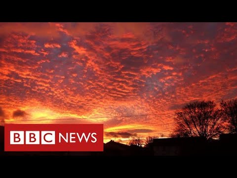 Sweaty tropical nights may soon be common in UK warn climate scientists - BBC News