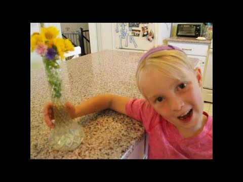 Practice Spanish! Spanish word of the day: Flores means flowers!