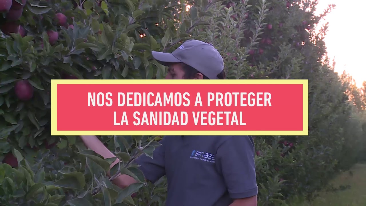 Nueva tecnología para el control de la mosca de los frutos
