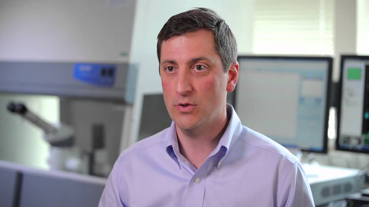 Advances in Stem Cell Research: Cell Reprogramming with Episomal iPSC Reprogramming Vectors