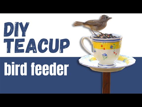 DIY Teacup Bird Feeder, Cup Bird Feeder on a Pole Tutorial, Budget Upcycle Garden Projects Backyard