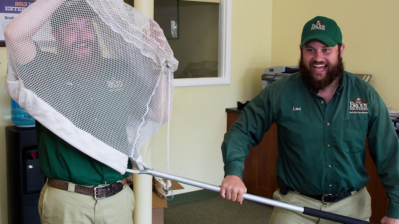 Levi Brody on working with family