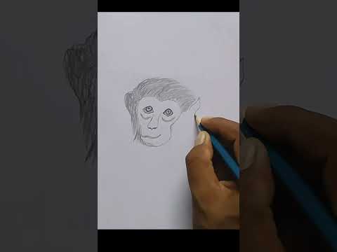 Monkey Drawing Face Step By Step tep #Cute Monkey Drawing #shorts #art #drawing#short