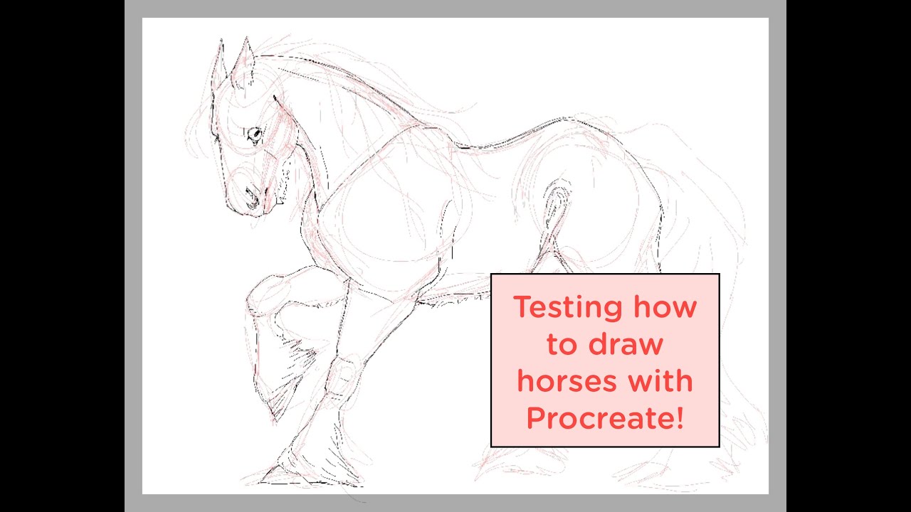 My first horse drawing with Procreate
