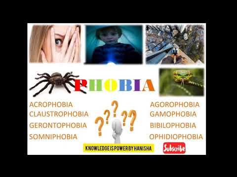 ||50 words with suffix "phobia"|| Meanings of each term || GENERAL ENGLISH ||
