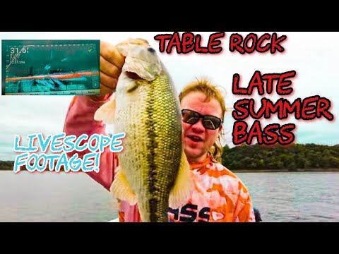 The Ultimate Guide to Table Rock Lake Bass Fishing