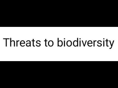 Threats to biodiversity - ecology lesson