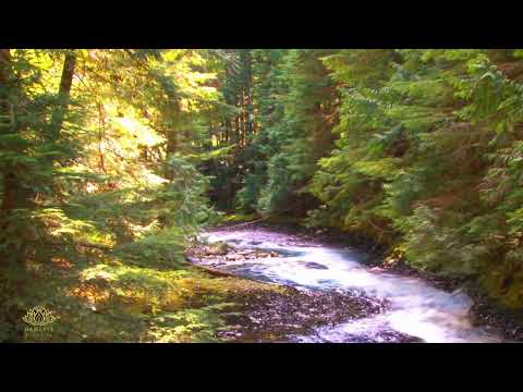 Simply Beautiful and Natural 🌿✨ | Nature’s Magic in 15 Seconds #Shorts #Beautiful #Nature