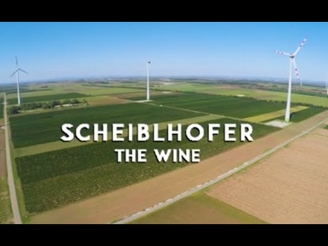 Scheiblhofer Weingut, Andau, Burgenland, AUSTRIA. VINEYARDS AND DRONE.
