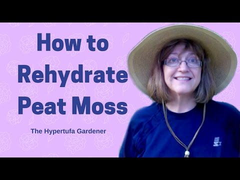 Found Your Peat Moss Is A Huge Solid Block? Fix It As Easy As This!