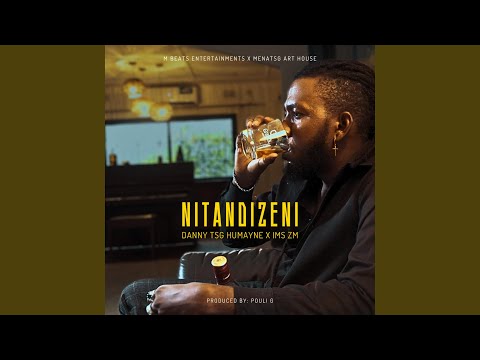Nitandizeni (feat. IMS zm)